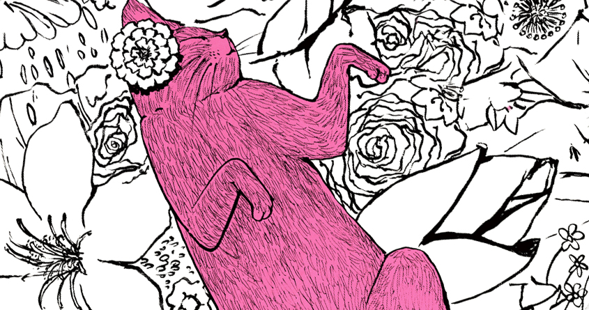 FIFI CAT | Threadless